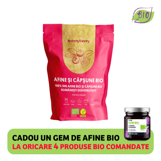 Afine BIO și Căpșune BIO Deshidratate 100gr din categoria Afine BIO ...